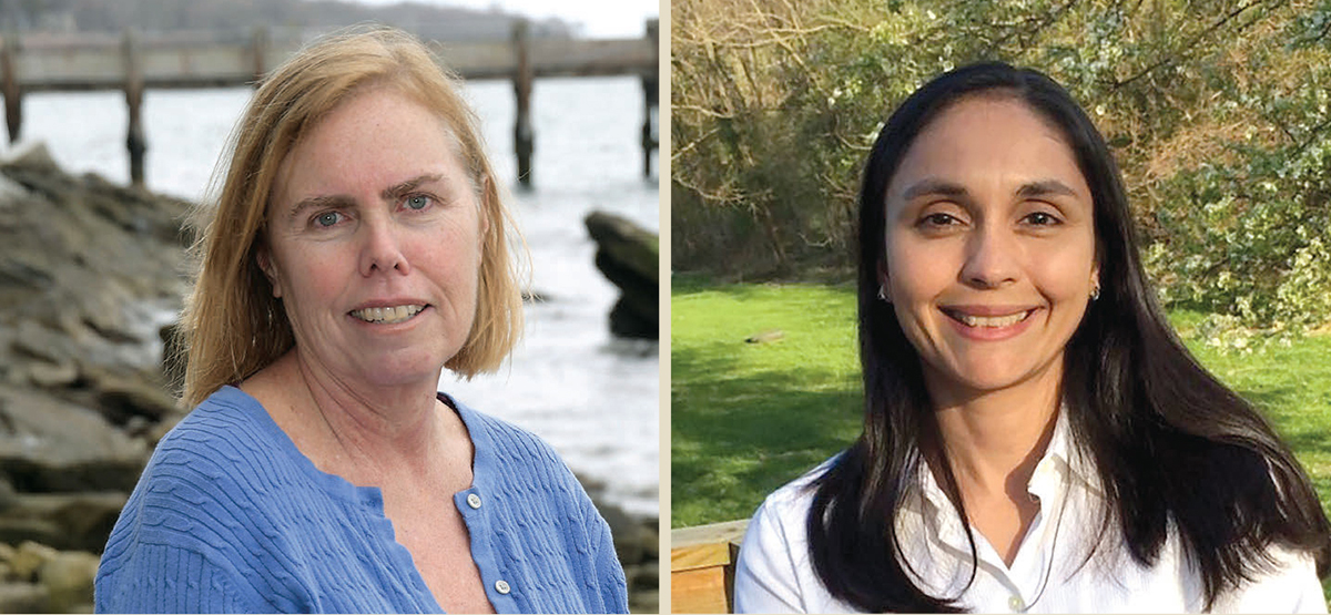 Editor’s Choice: Discuss impact of offshore wind farms on marine ...