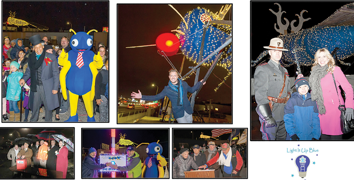 Big Blue Bug Solutions