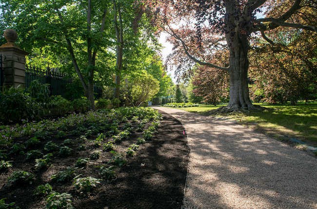 Serpentine Path at The Breakers nearing completion, south portion dedicated